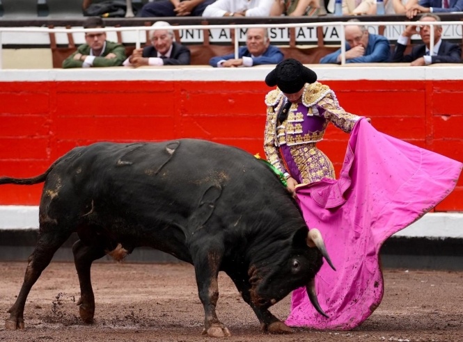 La liturgia del santo Job